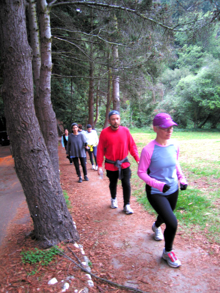 Homepage – FitFirst